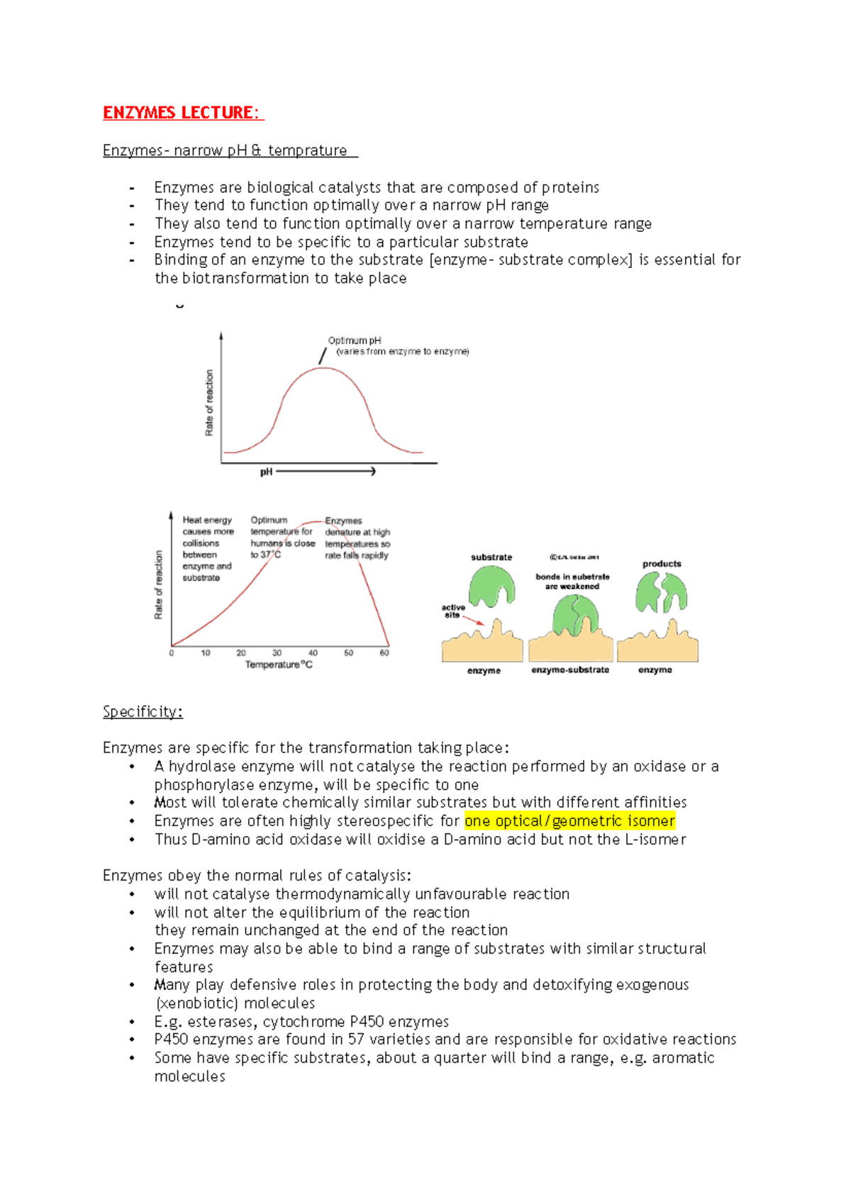 Enzymes Lecture studocu - ENZYMES LECTURE: Enzymes- narrow pH ...