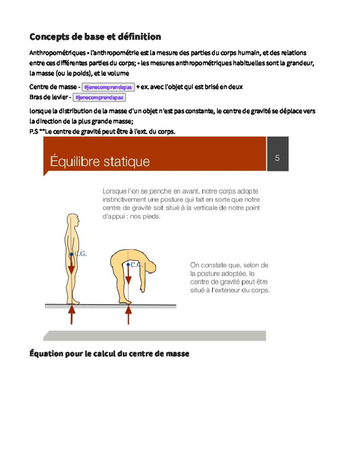Principles of PHT1004 Centre of Mass, Leverage Arm, Stability ...