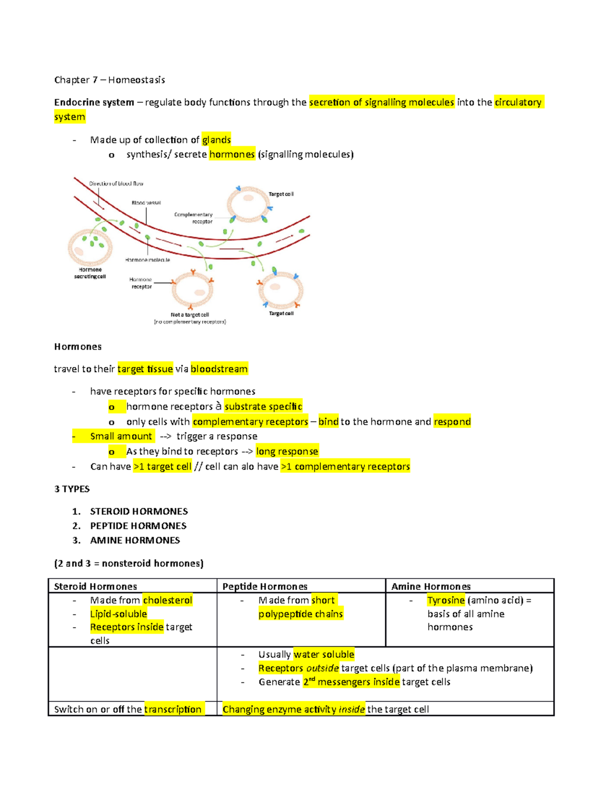Chapter 7 Homeostatic - Chapter 7 – Homeostasis Endocrine system ...