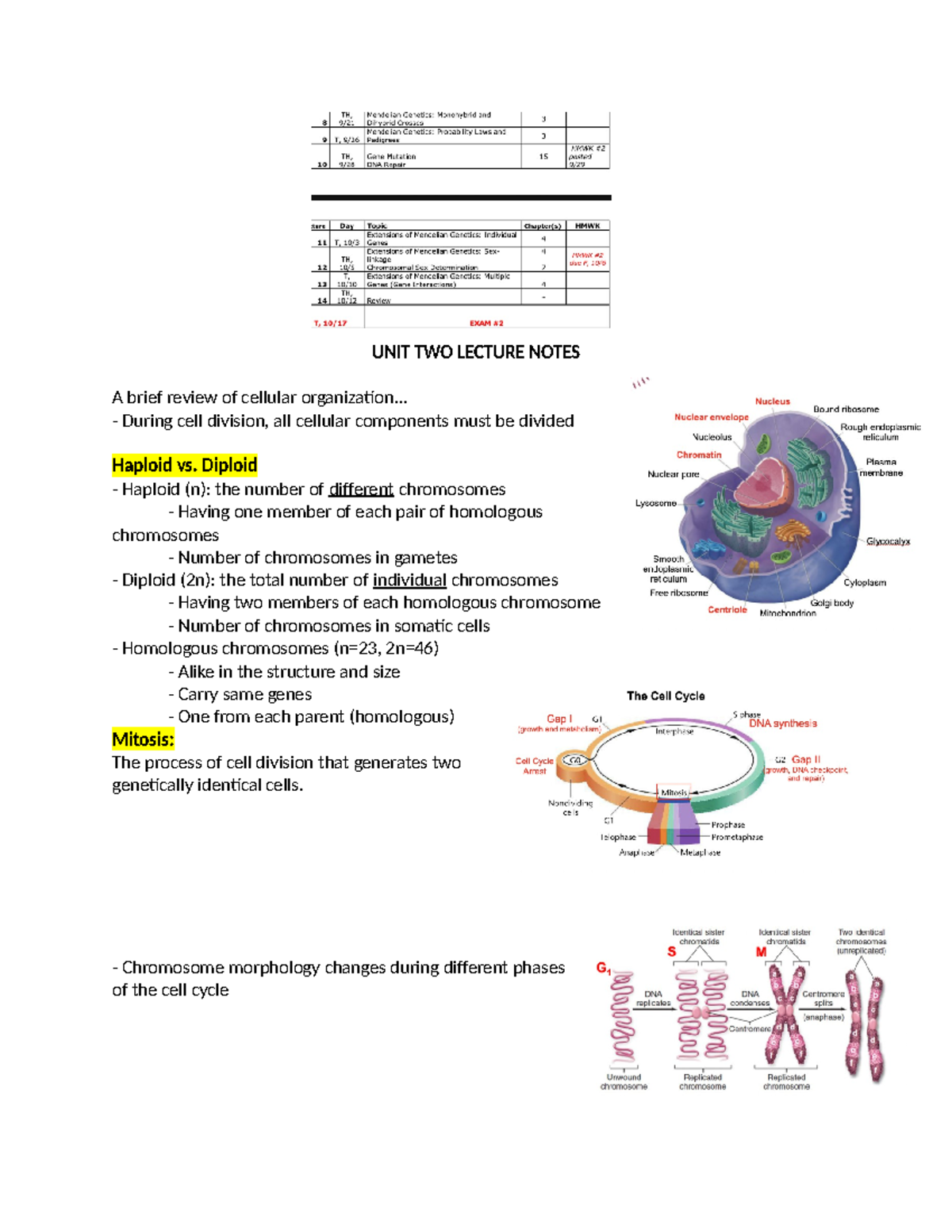 Unit Two Lecture Notes Unit 2 Unit Two Lecture Notes A Brief Review Of Cellular Organization