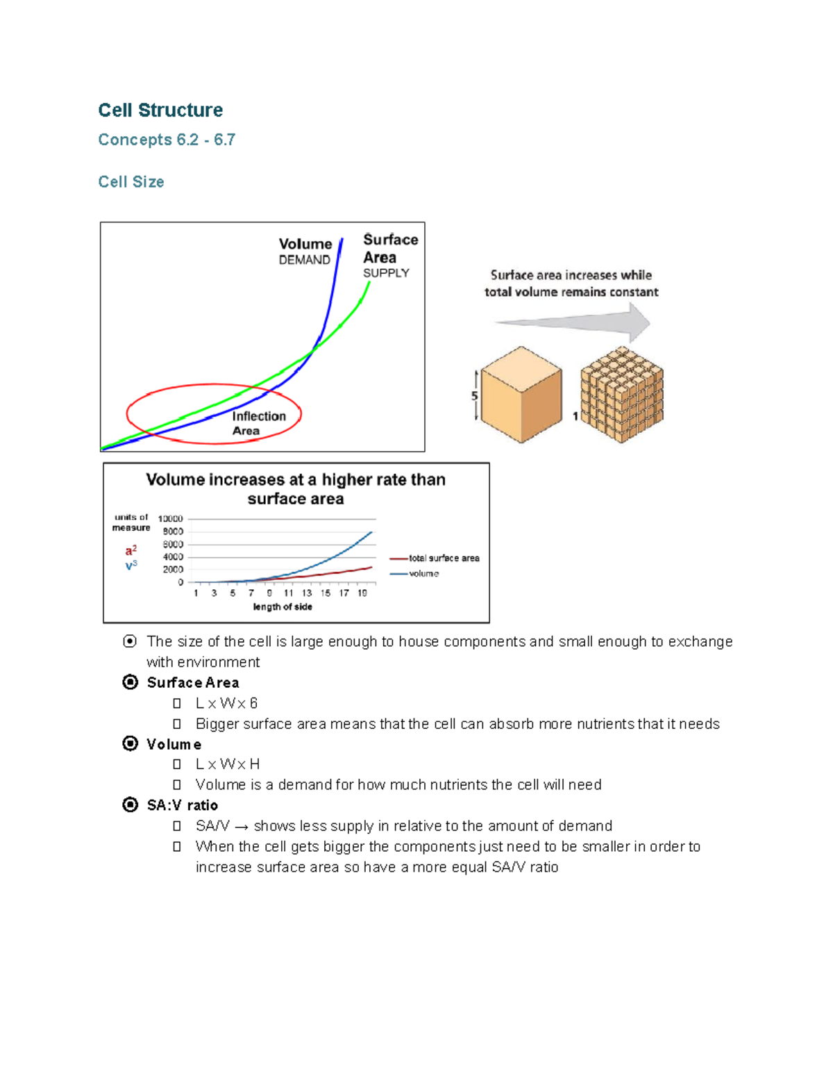 Topic 3: Cell Structure - Cell Structure Concepts 6 - 6 Cell Size ⦿ The ...