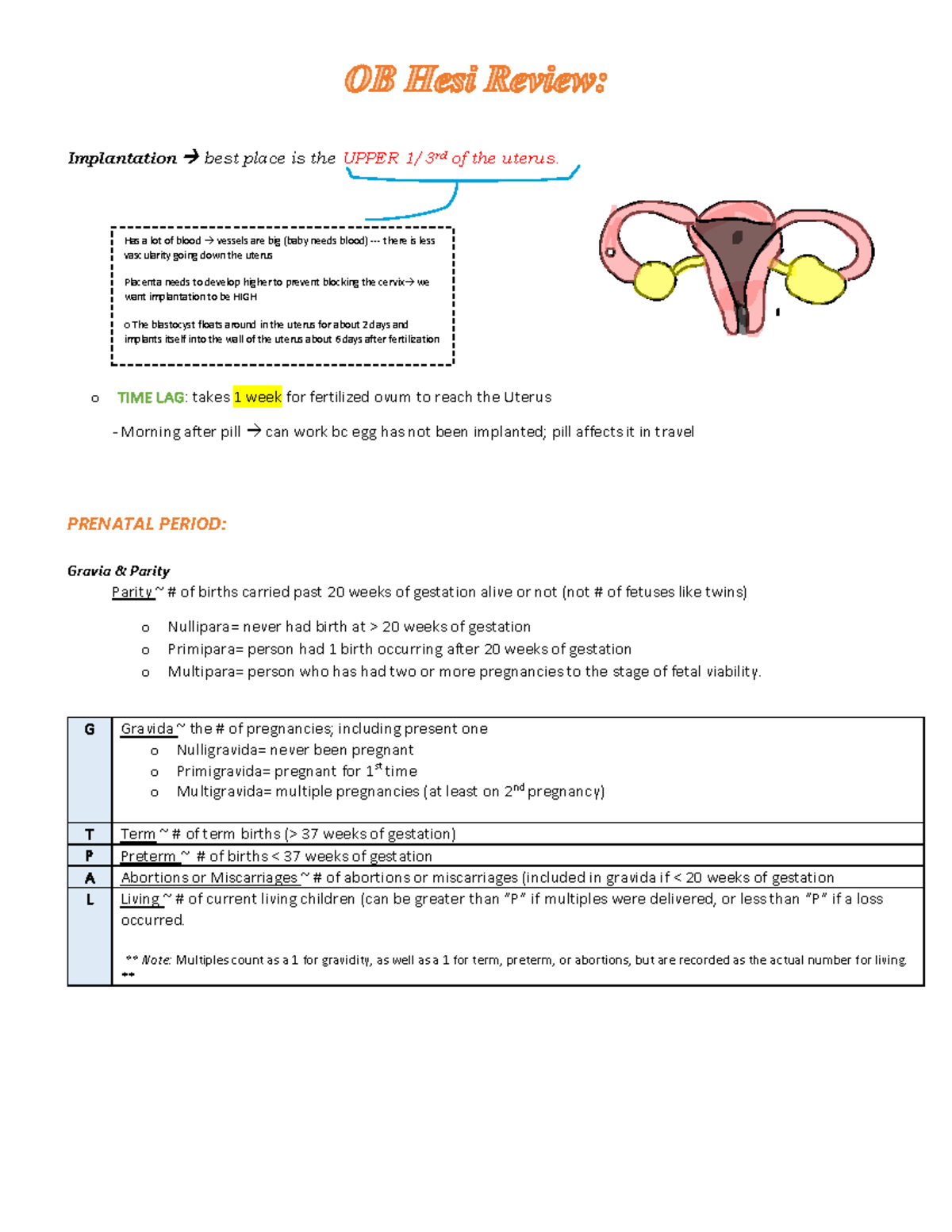 OB HESI study guide - Implantation → best place is the UPPER 1/3rd of ...