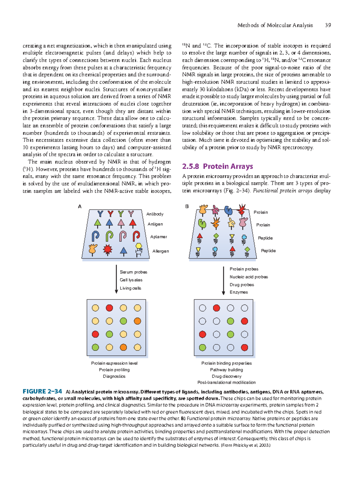 Basic Science of Oncology 5th-18 - Methods of Molecular Analysis 39 ...
