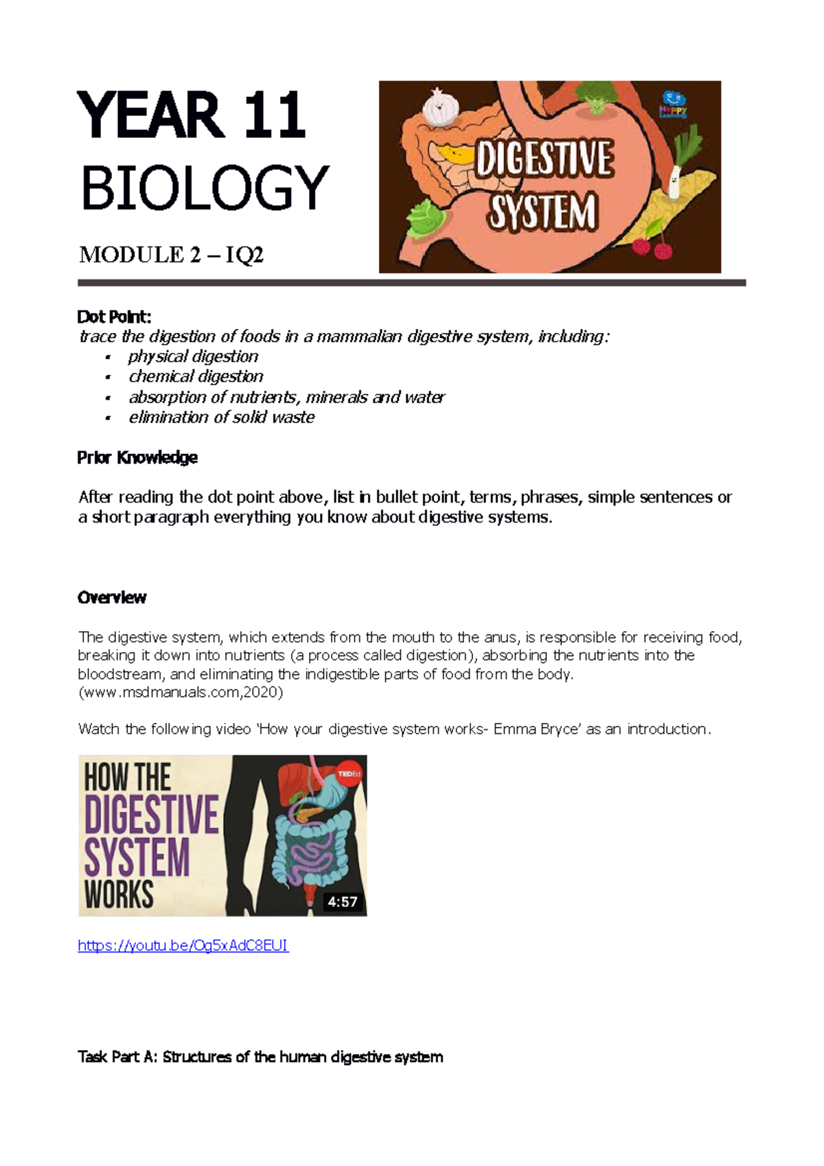 14 Biology mammalian digestive system-1 - YEAR 11 BIOLOGY MODULE 2 – IQ ...