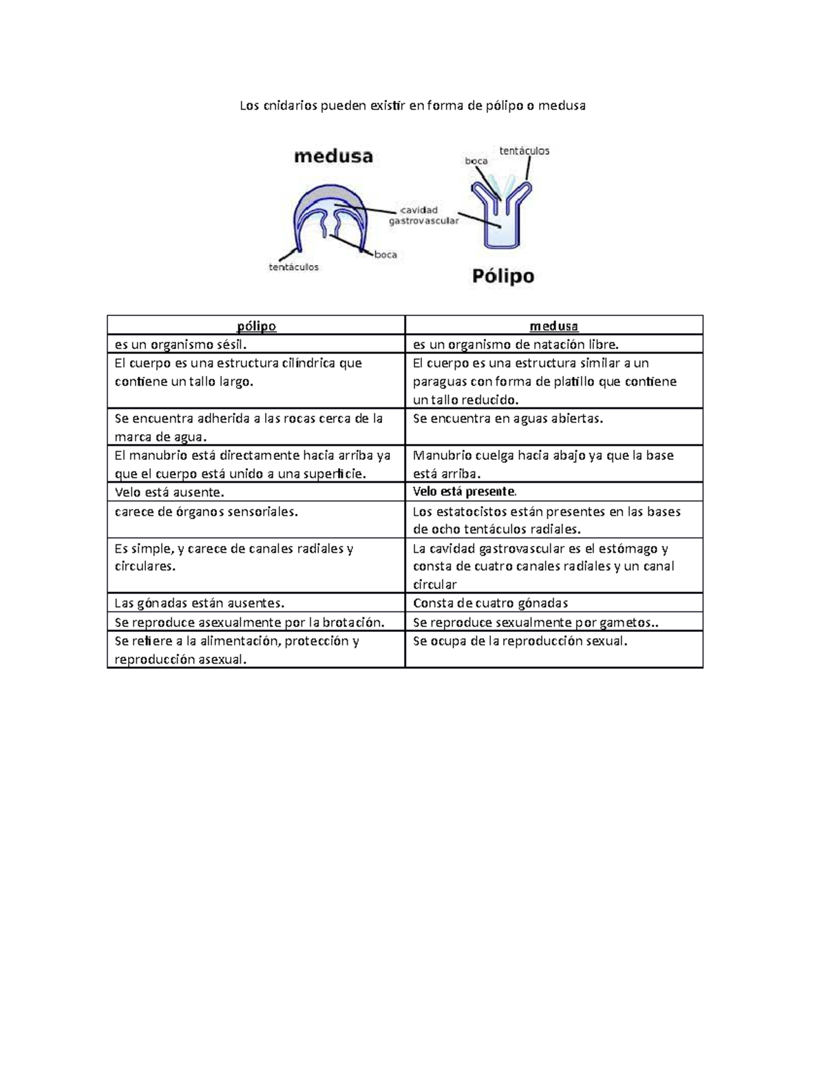 Cuadro comparativo - ..... - Los cnidarios pueden existir en forma de ...