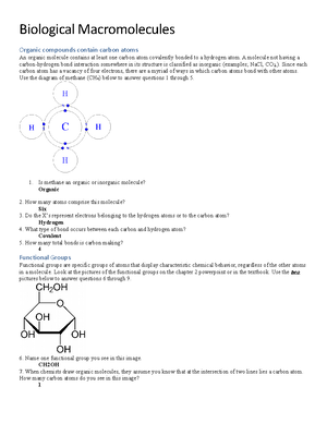Cell Energy Gizmo - Name: MAXIME GREINER Student Exploration: Cell ...