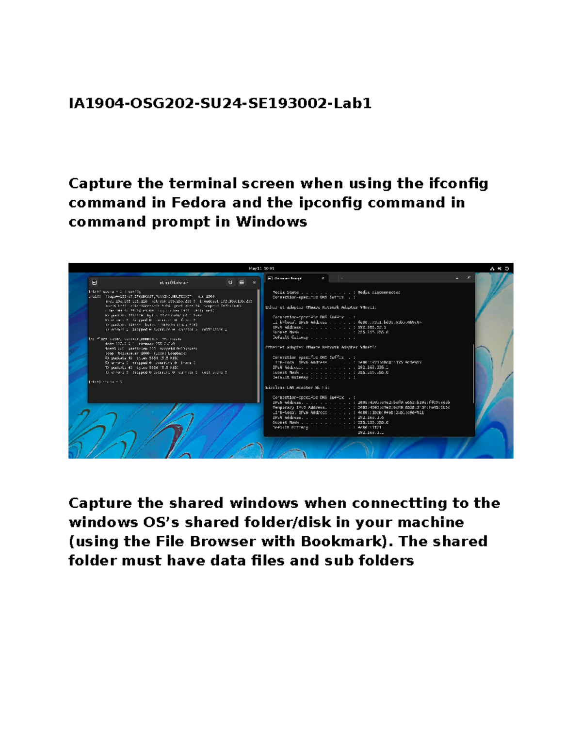 IA1904-SE193002-Lab 1 - IA1904-OSG202-SU24-SE193002-Lab Capture the terminal screen when using ...