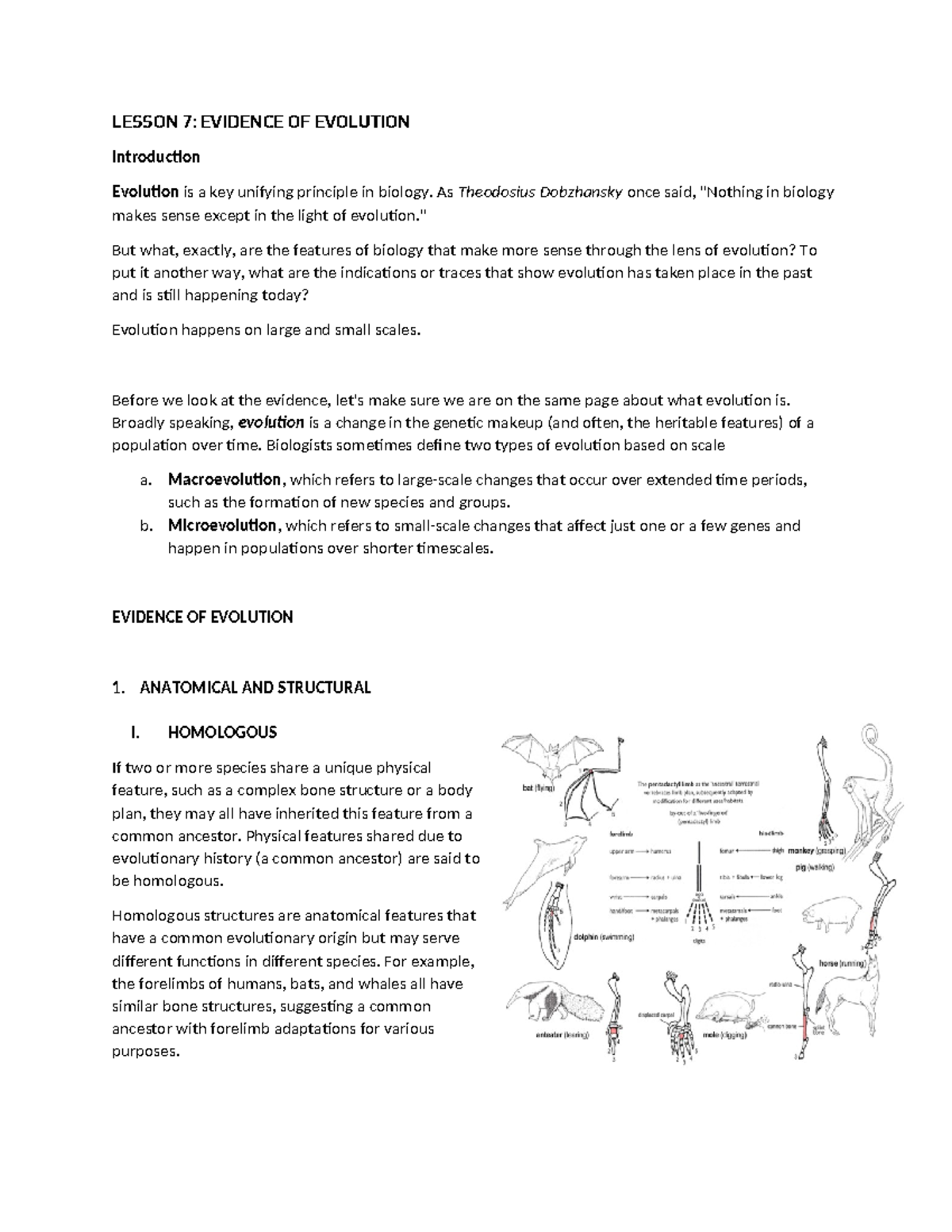 Inbound 1453177550360869075 - LESSON 7: EVIDENCE OF EVOLUTION ...