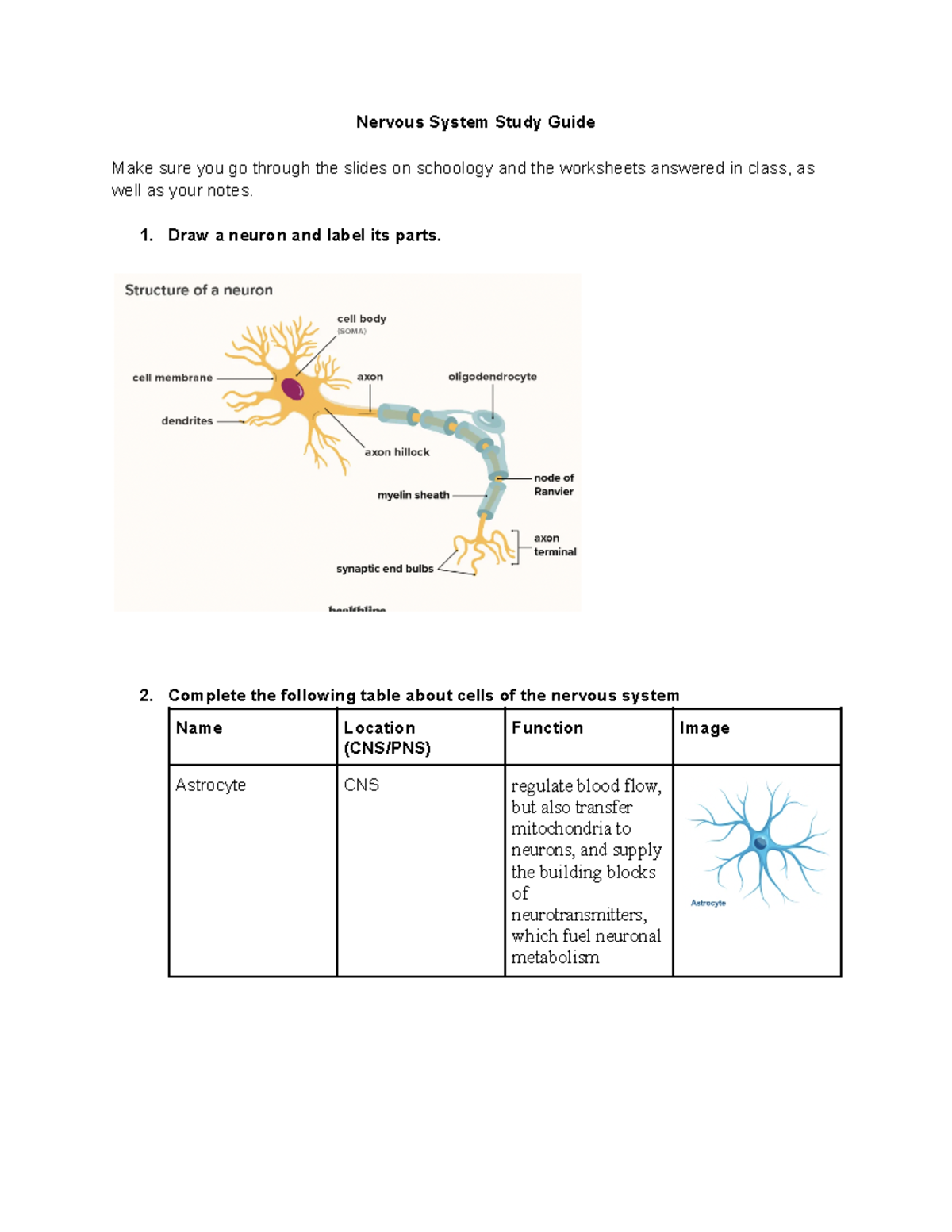 Study guide (1) - Nervous System Study Guide Make sure you go through ...