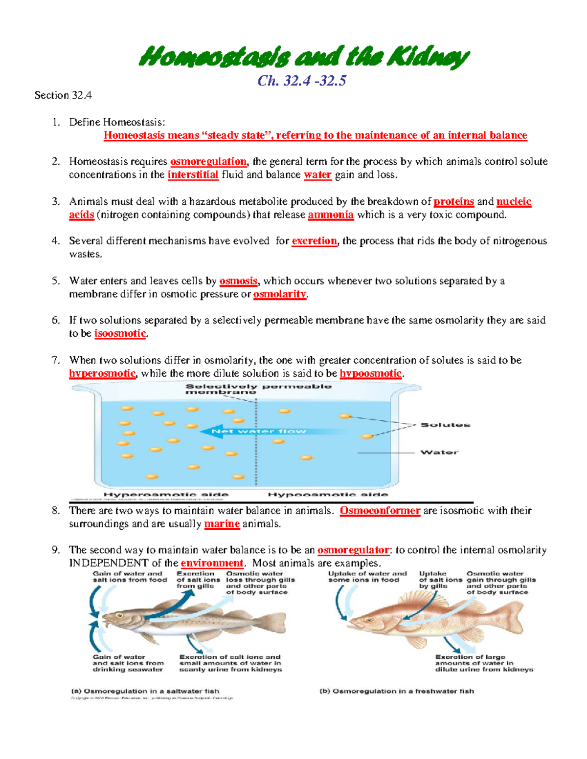 Ch. 32 - KEY Homeostasis and Excretory System 2016 - Homeostasis and ...