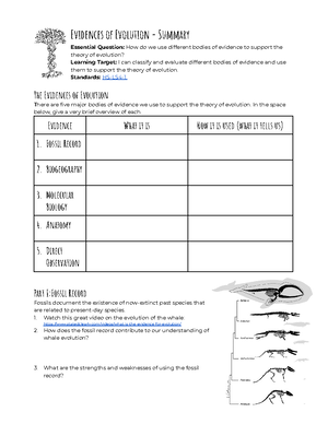 Evidenceof Evolution Concept Map Graphic Organizerfor Notesor ...