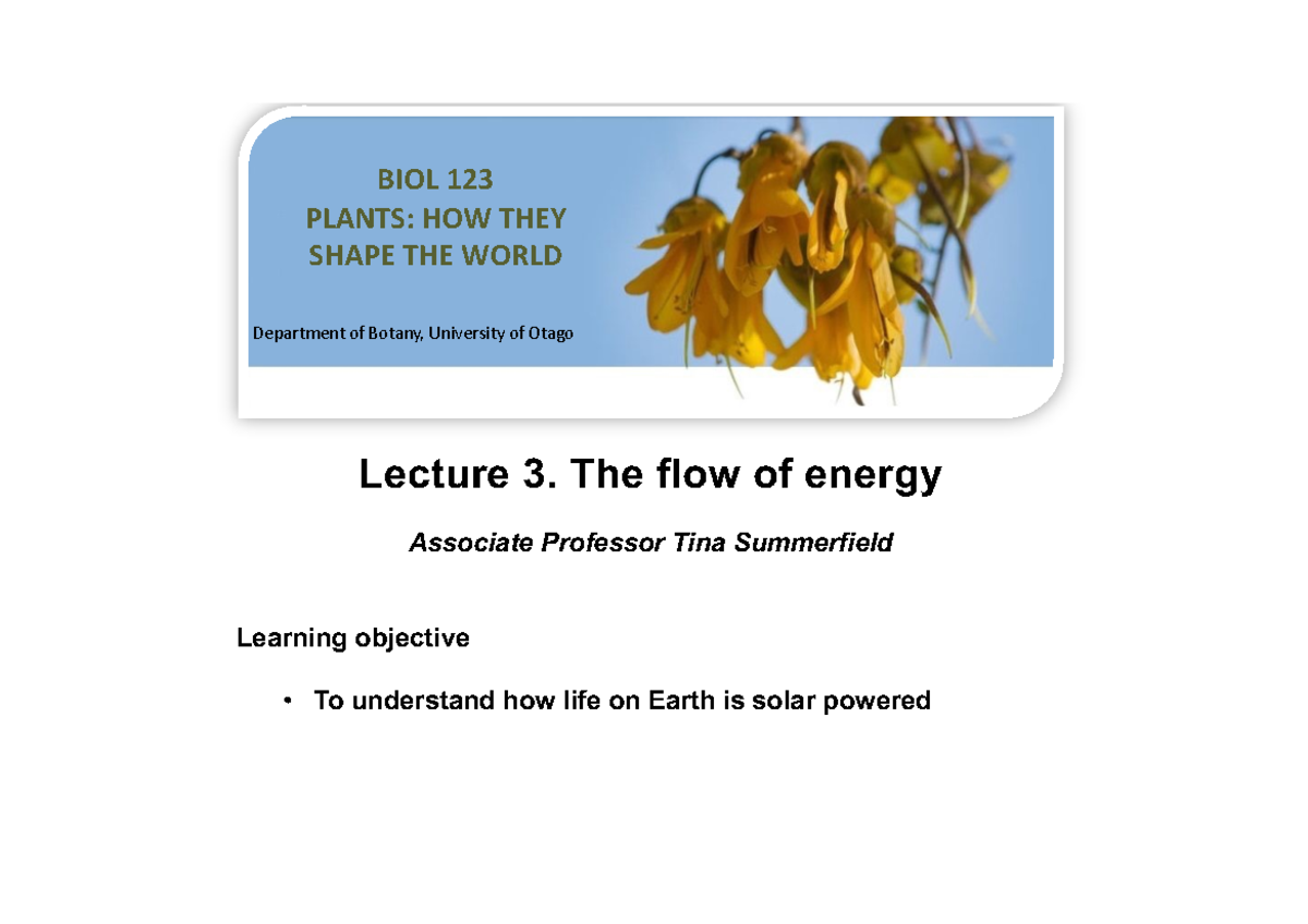 L 3 - Lecture 3 notes - Lecture 3. The flow of energy Associate ...