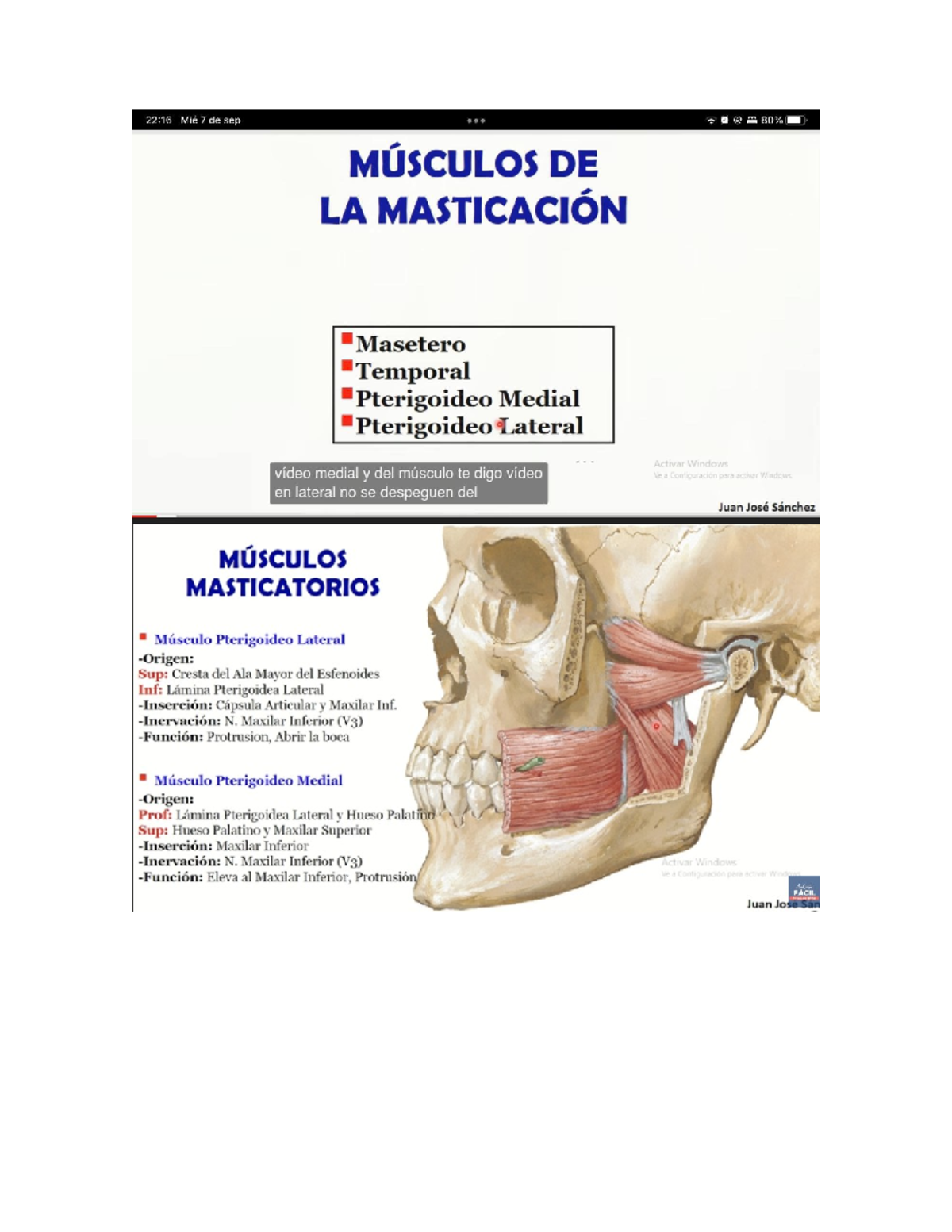 Craneo apunte mio - anatomia del oido, capturas - Anatomía - UNAM - Studocu