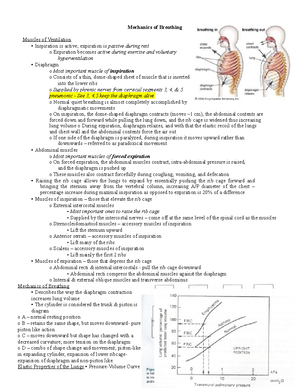 Lecture 1 Study Guide Structure Function - Respiratory- Lecture #1 ...