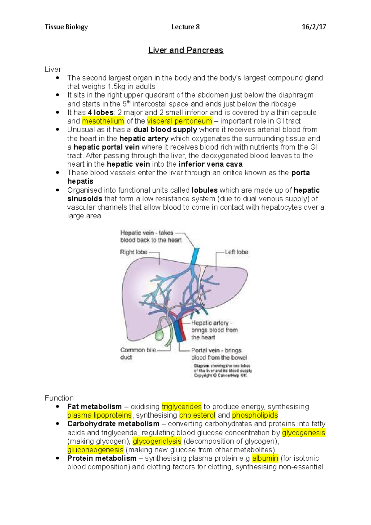 Liver and Pancreas - Lecture notes 8 - Tissue Biology Lecture 8 16/2/17 ...