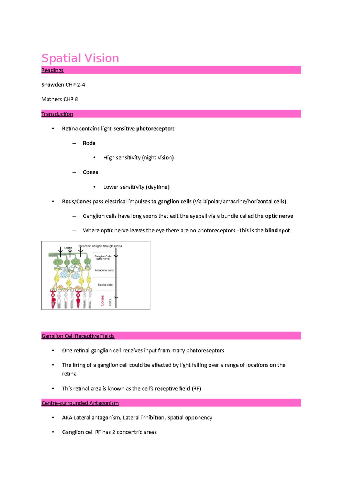 Spatial Vision - 245 - Spatial Vision Readings Snowden CHP 2- Mathers CHP 8 Transduction Retina ...
