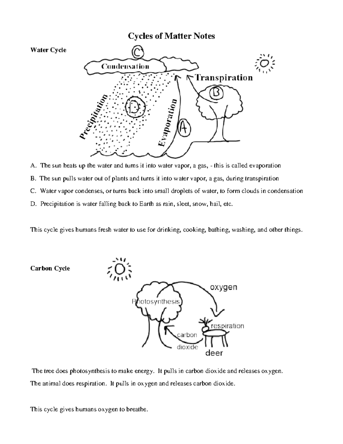 Cycles of Matter Notes - Cycles of Matter Notes Water Cycle A. The sun ...
