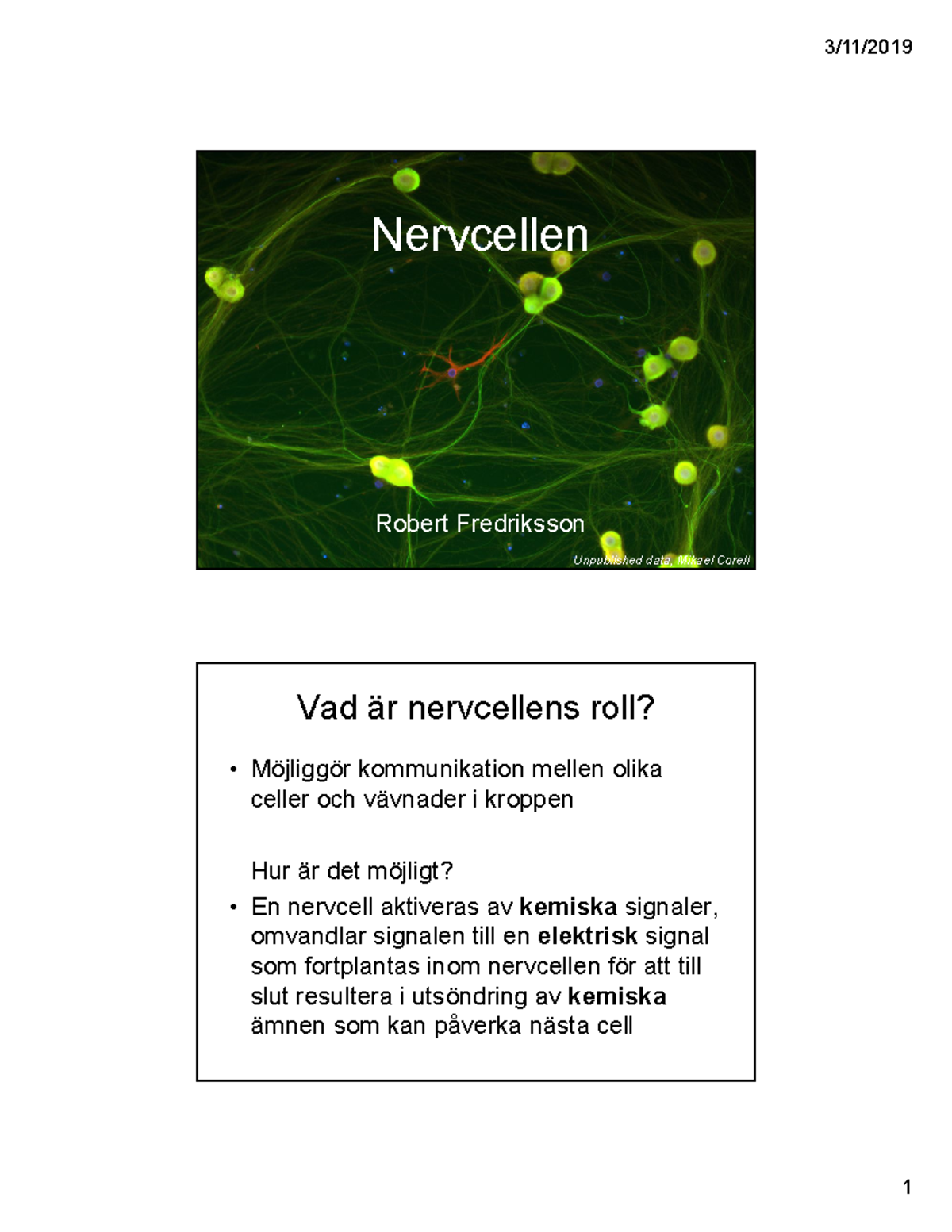 Nervfysiologi 2 Robert Fredriksson - Nervcellen Robert Fredriksson ...