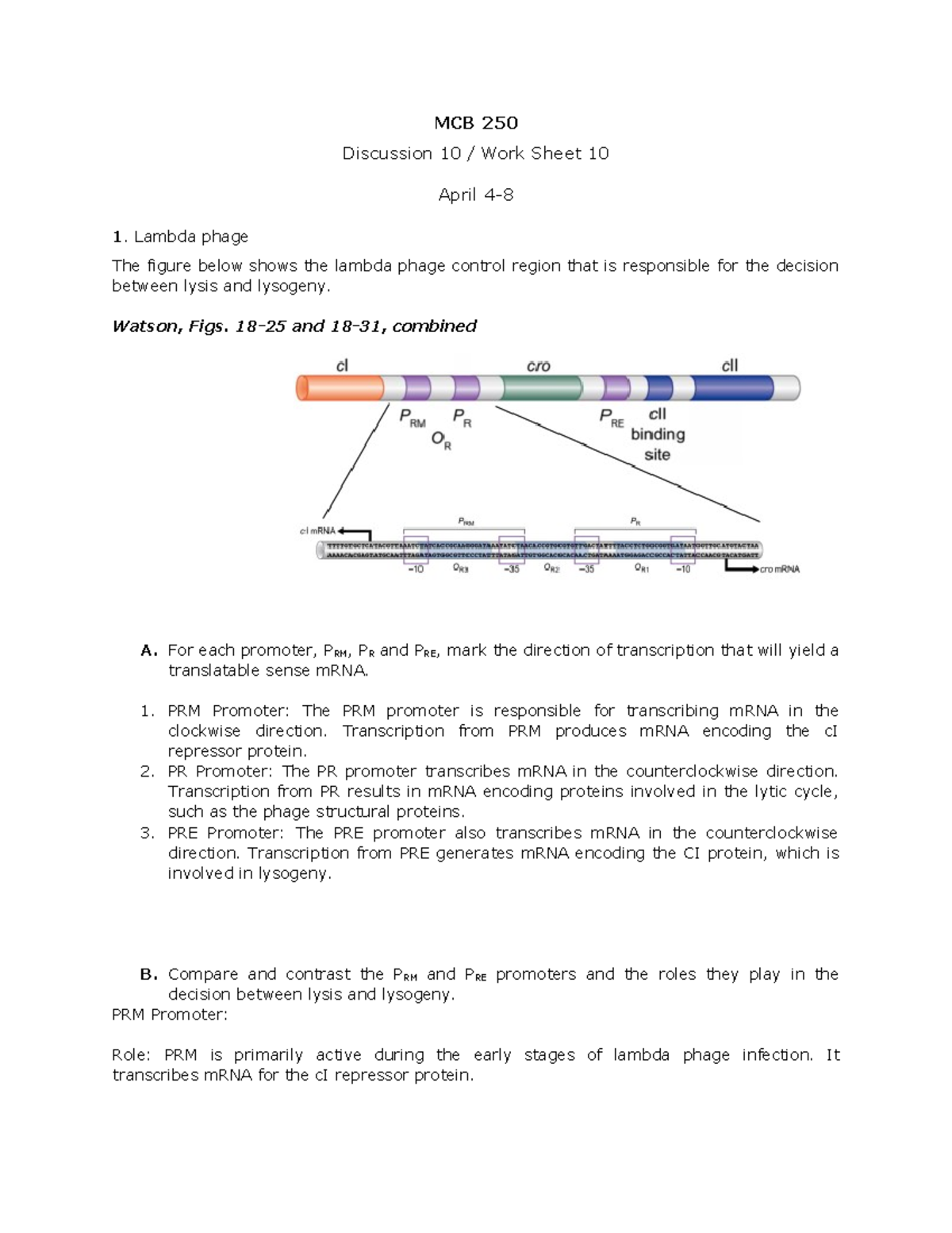 MCB250 Discussion 10 WS10 SP24 - MCB 250 Discussion 10 / Work Sheet 10 April 4- 1. Lambda phage ...