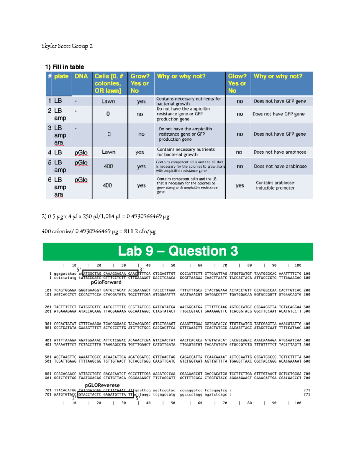 Lab 9: pGlo (PCR) Report - Skyler Scott Group 2 0 μg x 4 μl x 250 μl ...