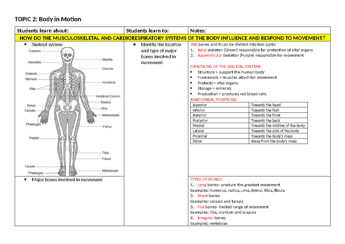 Topic 2 body in motion notes - TOPIC 2: Body in Motion Students learn ...
