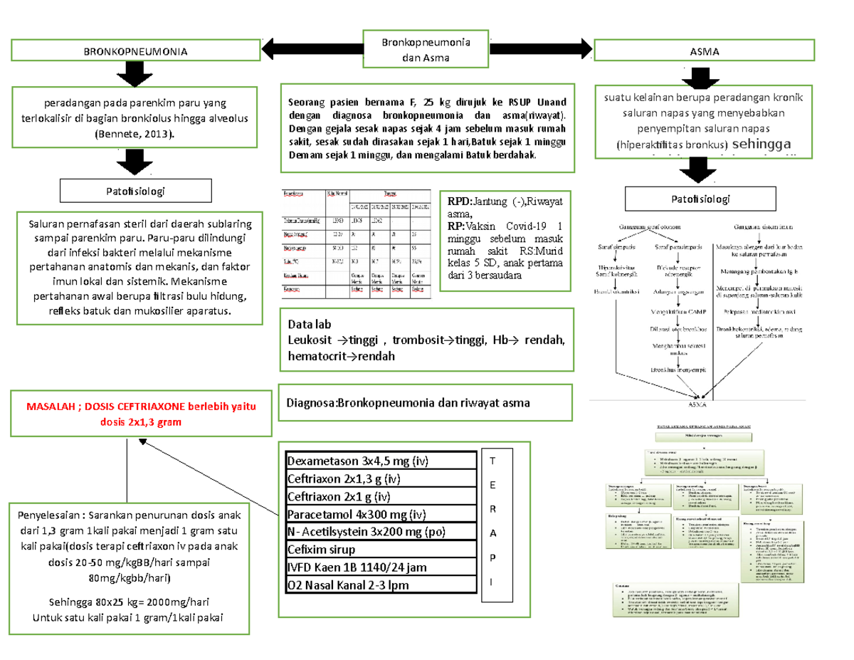 Peta Konsep ASMA - ASMA suatu kelainan berupa peradangan kronik saluran ...