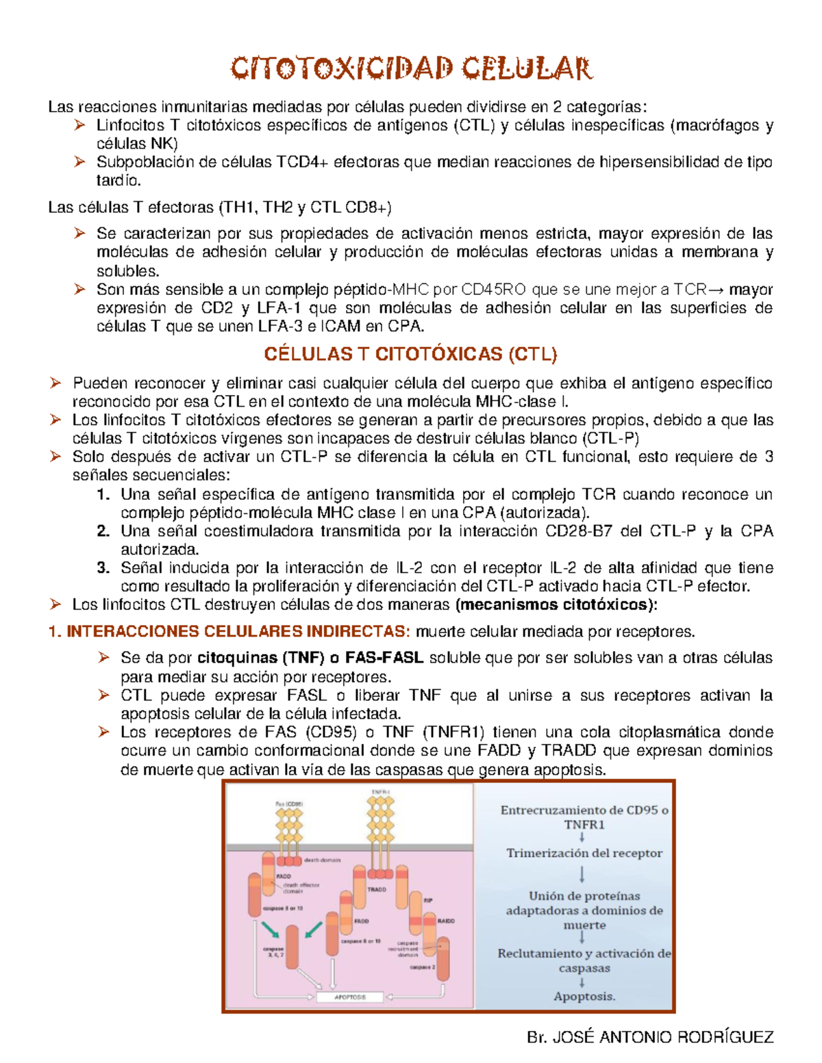 9 Citotoxicidad Celular JARR - Br. JOSÉ ANTONIO RODRÍGUEZ CITOTOXICIDAD ...