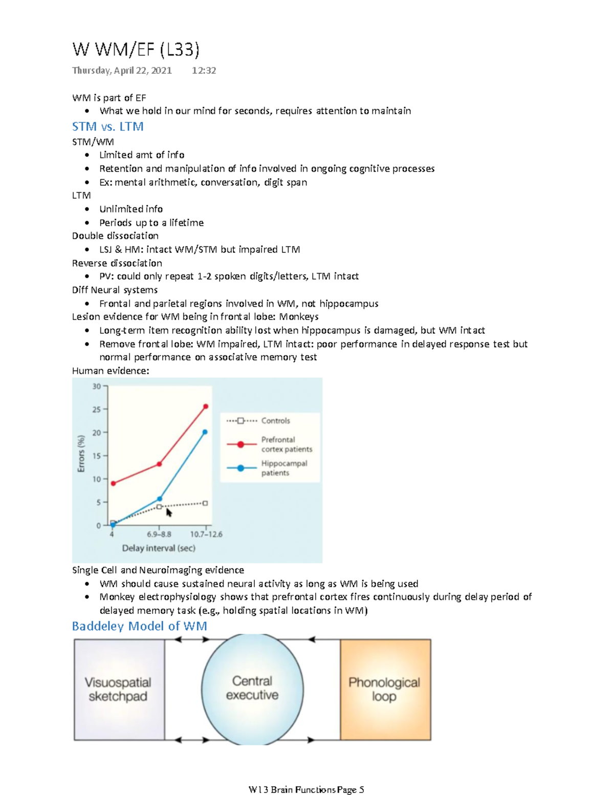 Week 13 WM, EF - Fischer-Baum 2021 - WM is part of EF - What we hold in ...