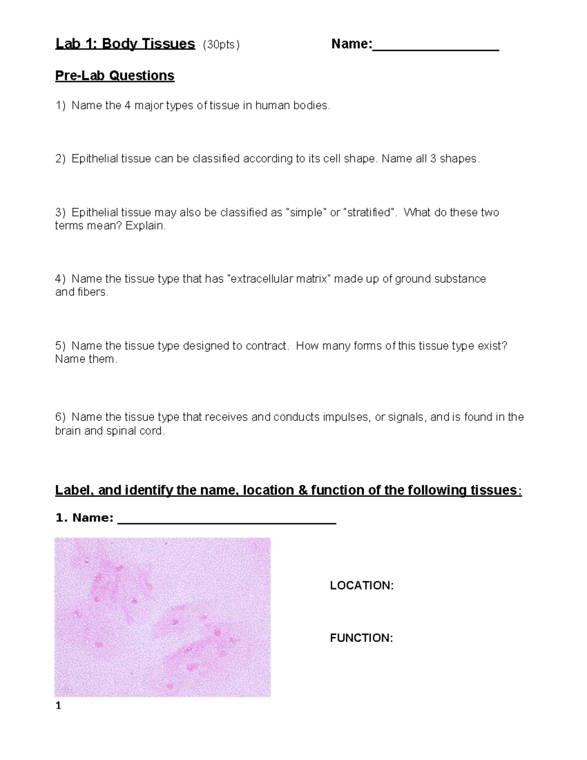 A&P1 Lab 1 Tissues - lab - Lab 1: Body Tissues (30pts) Name:_________________ Pre-Lab Questions ...