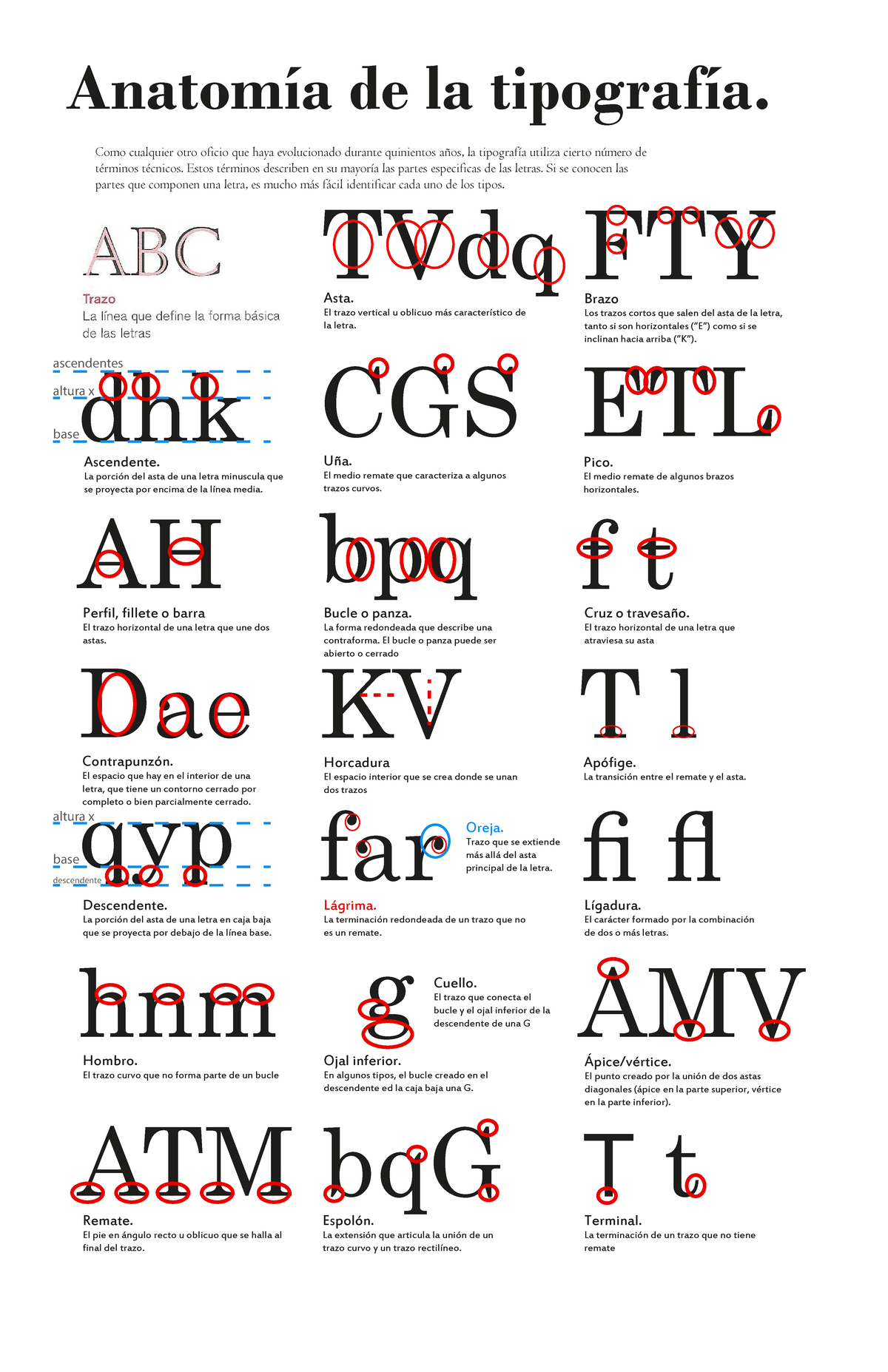 Anatomia de la letra - Aaa - Anatomía de la tipografía. Como cualquier ...