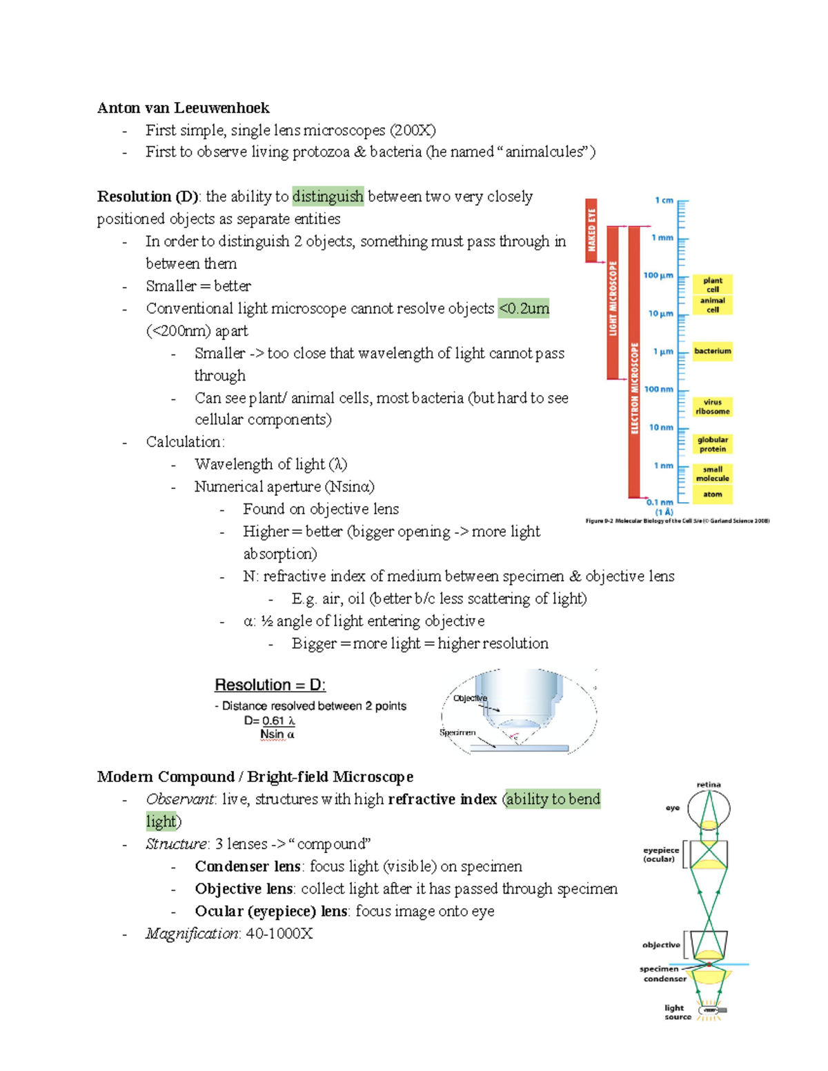 Topic Two Lecture Notes - Anton van Leeuwenhoek - First simple, single ...