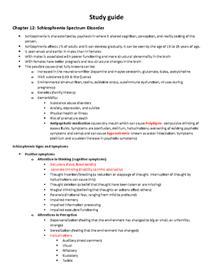 NSG Care Plan template - all good - Psychiatric/Mental Health Nursing ...