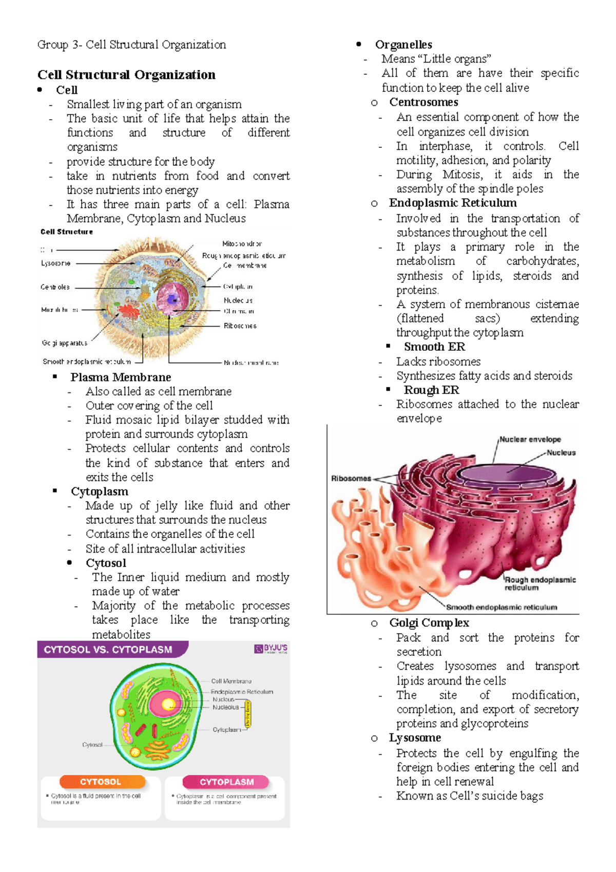 Cell Structural Organization - Cell motility, adhesion, and polarity ...