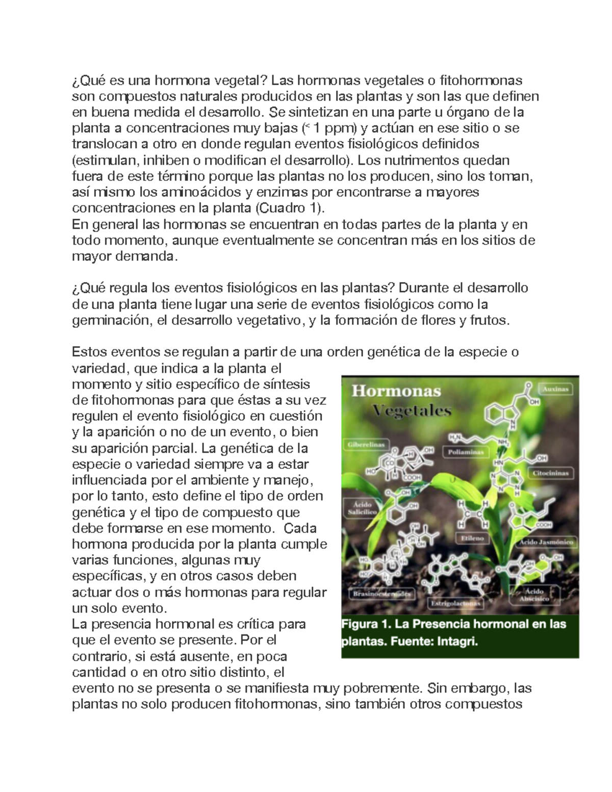 Fitohormonas - ¿Qué es una hormona vegetal? Las hormonas vegetales o ...