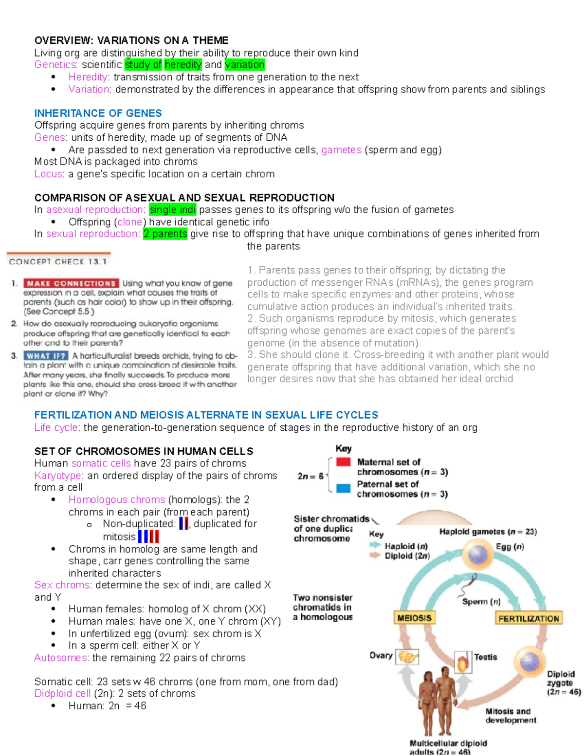 Chap 13 - Lecture notes 13 - OVERVIEW: VARIATIONS ON A THEME Living org ...