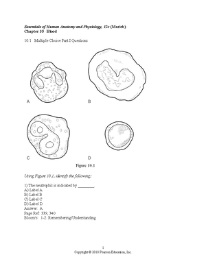 Ehap12e ch 15 test bank - Human Anatomy test bank. - Essentials of ...