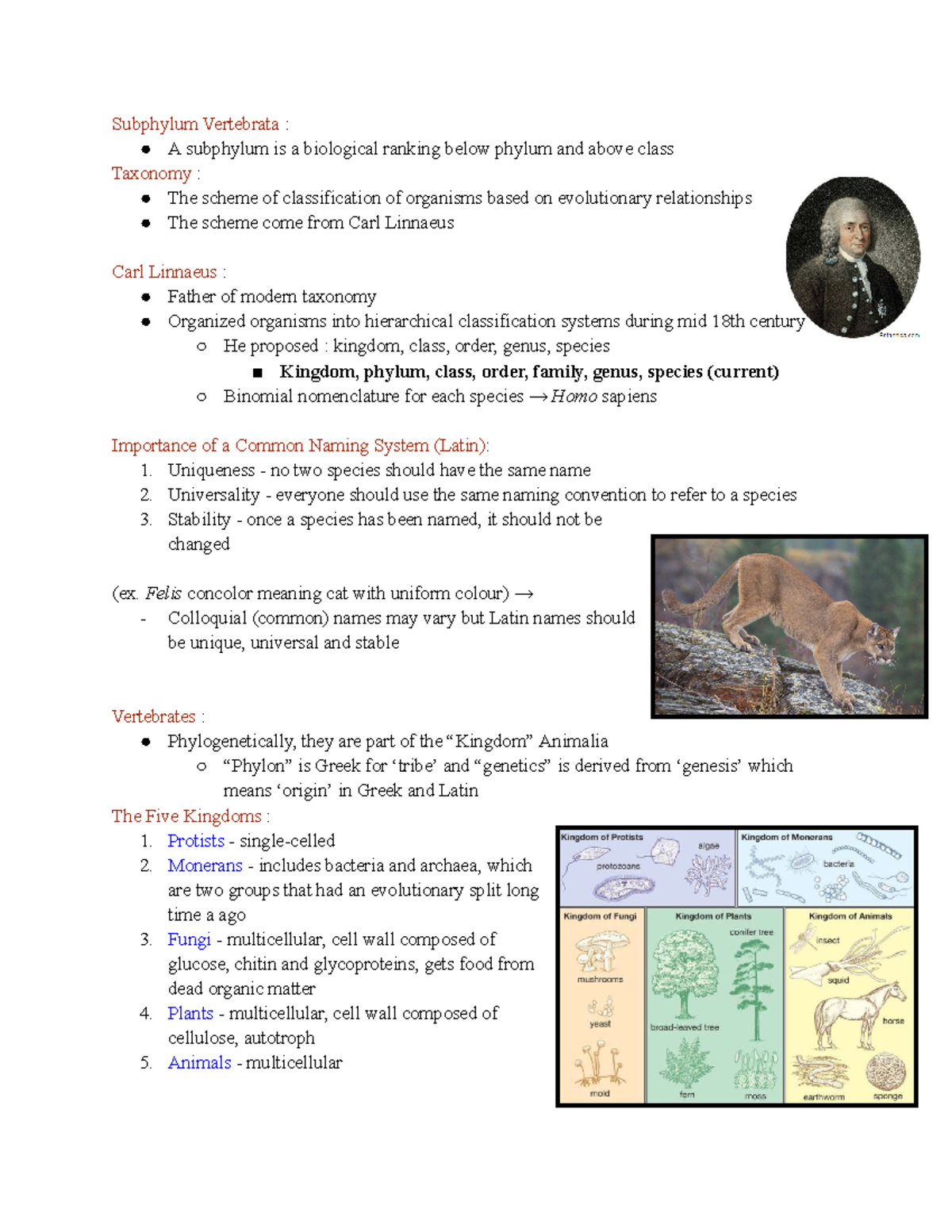 Topic 1 Intro Zoology & Phyllogenetics - Subphylum Vertebrata : A ...
