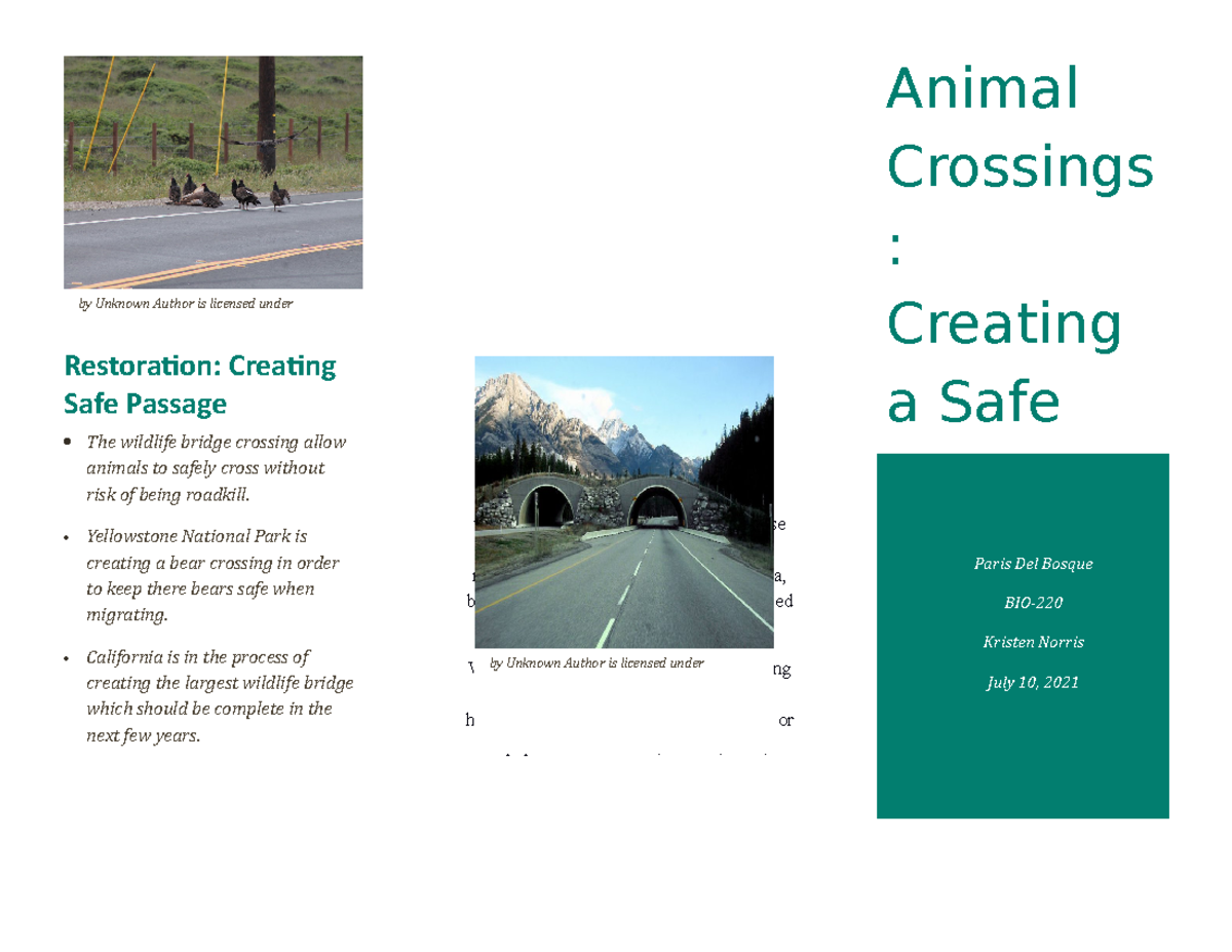 Restoration Pamphlet - Assignment - Restoration: Creating Safe Passage ...