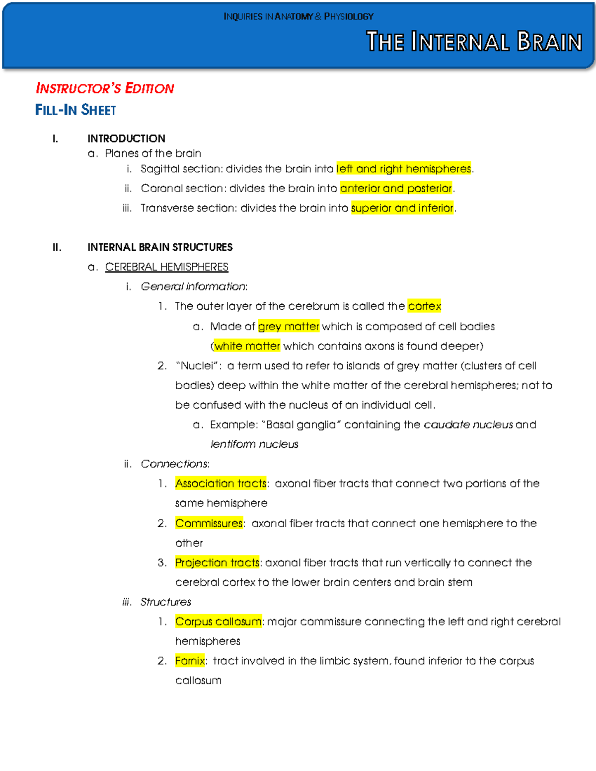 Key-Internal Brain Fill-in - INQUIRIES IN ANATOMY PHYSIOLOGY EDITION ...
