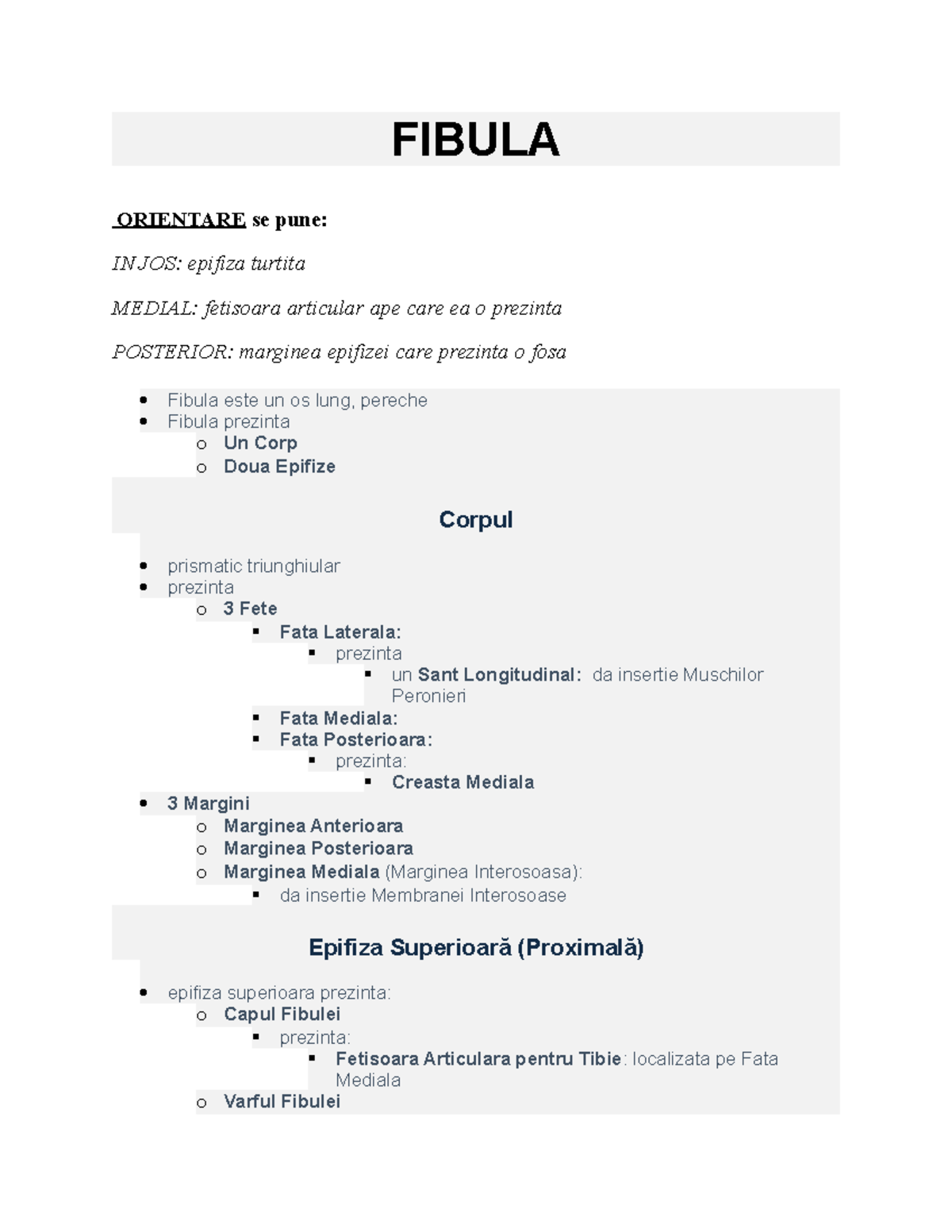 FibulaEpifiza Inferioară (Distală) • prezinta o Maleola Laterala are ...