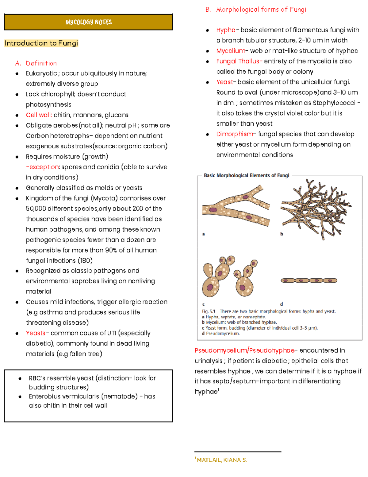 Myco-2 - Premid - M󰇳󰉎OL󰈮󰉂󰈄 NO󰈜󰉋󰈟 Introduction to Fungi A. Definition ...