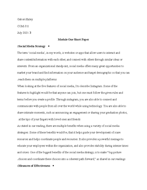 4-2 Activity Social Media Platforms Guide - COM 311 Module Four ...