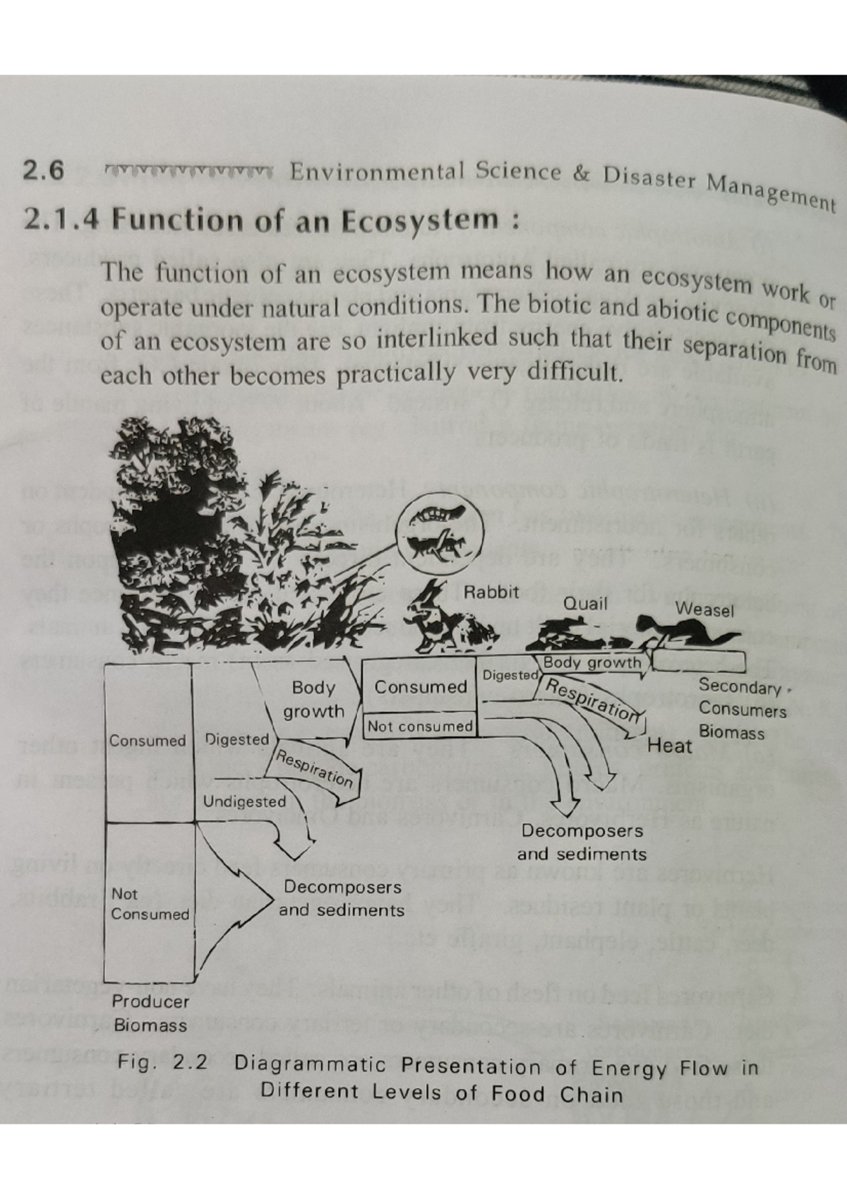 Functions of an ecosystem - 2 Environmental Science Disaster Management ...