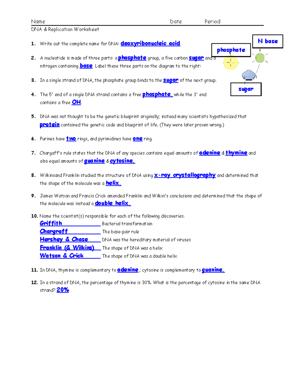 DNA and replication worksheet answers - Name Date Period DNA ...