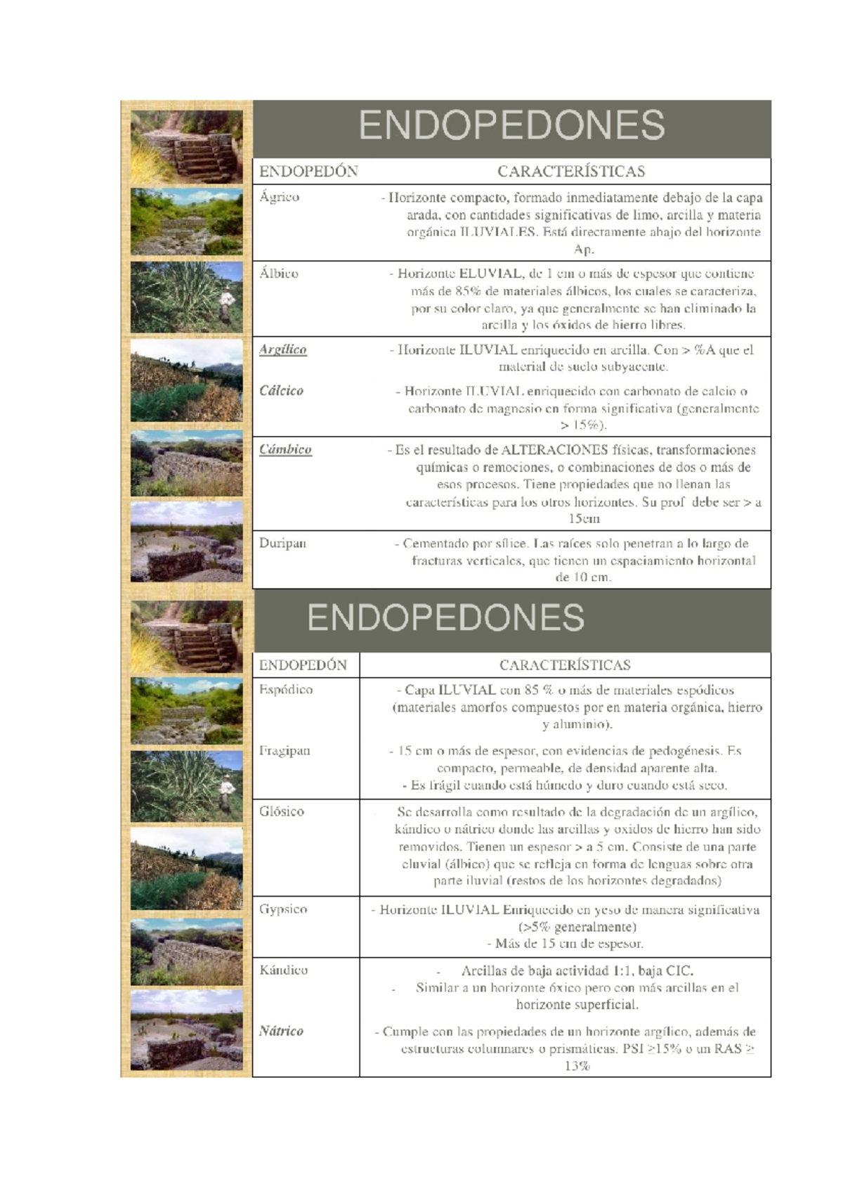 Endopedones-1 - Apuntes Endopedones - ENDOPEDON ENDOPEDON ...