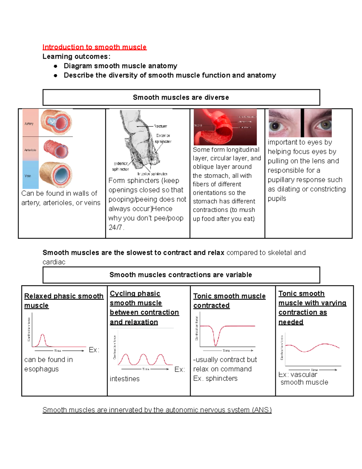 Introduction to smooth muscle - Introduction to smooth muscle Learning ...