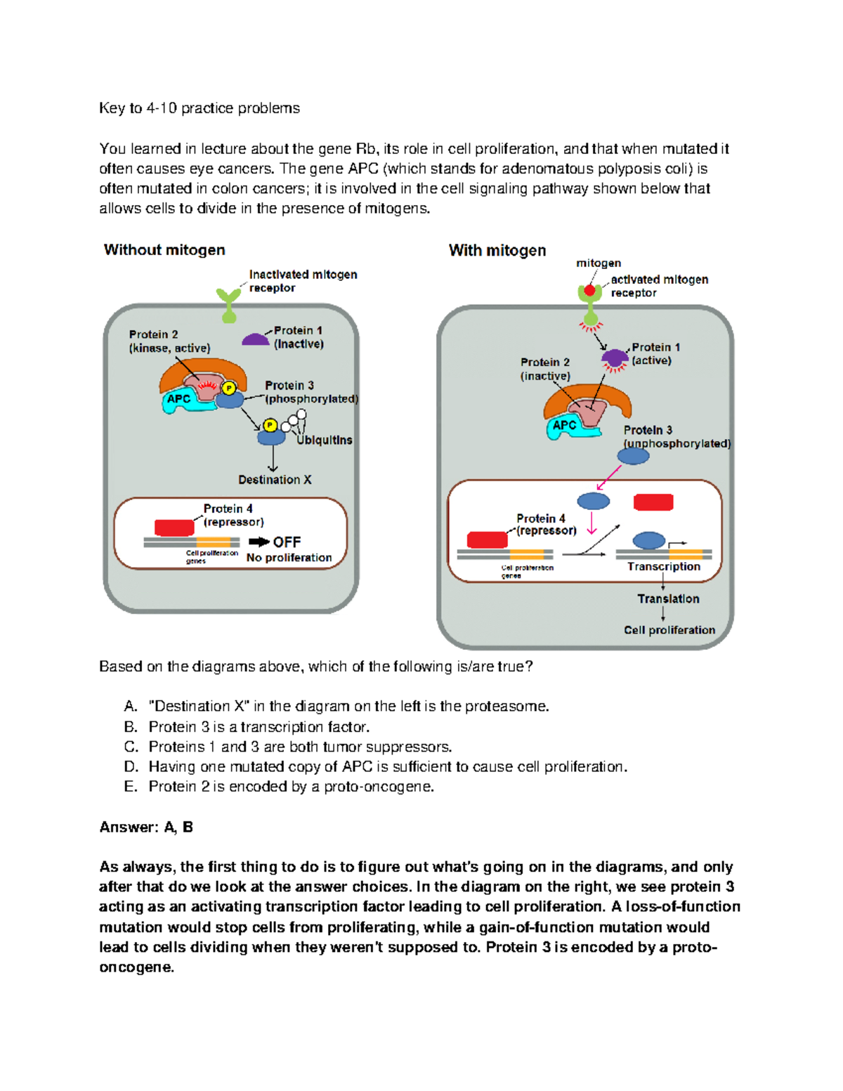 Key to 4-10 practice problems - The gene APC (which stands for ...