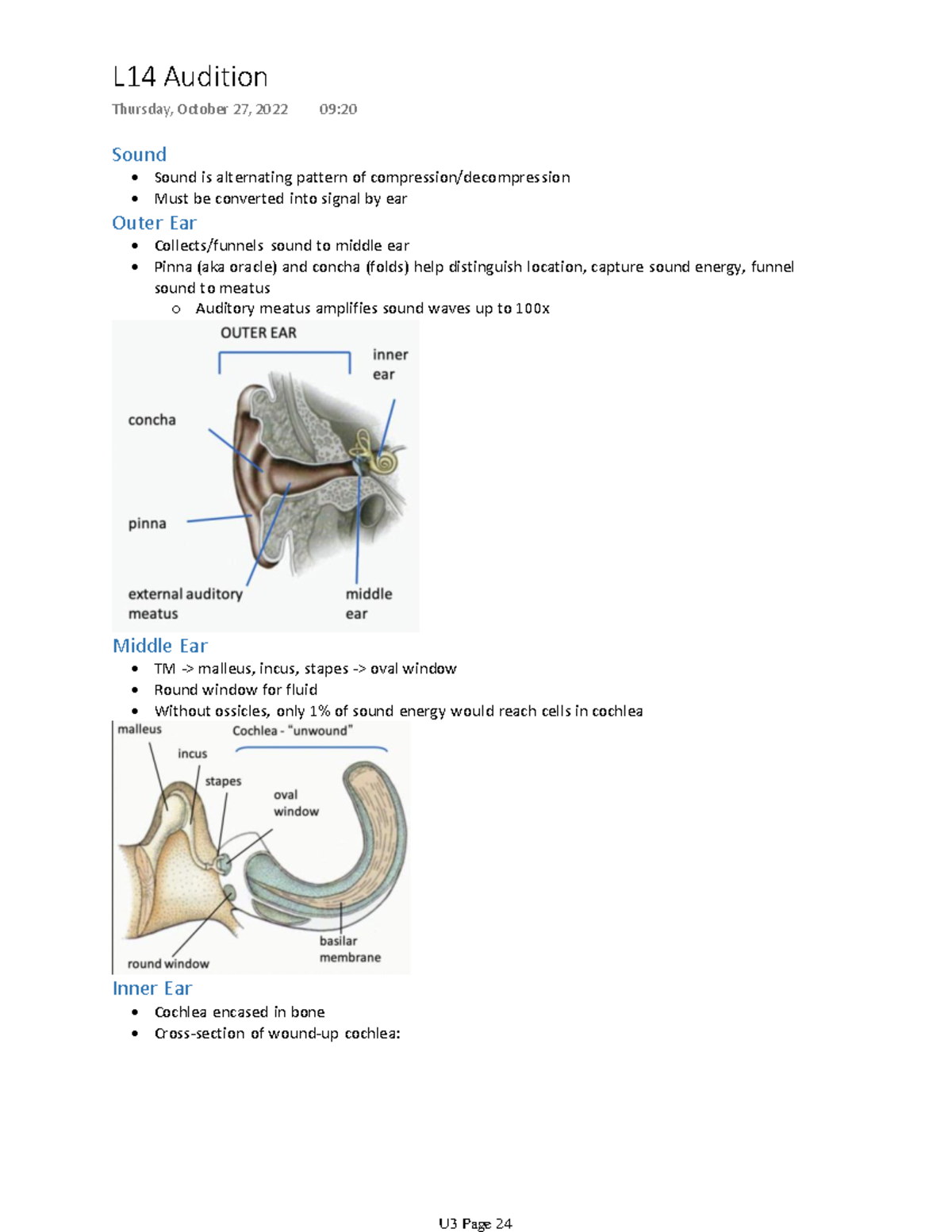 Lecture 14 Hearing - Ross 2022 - Sound Sound is alternating pattern of ...