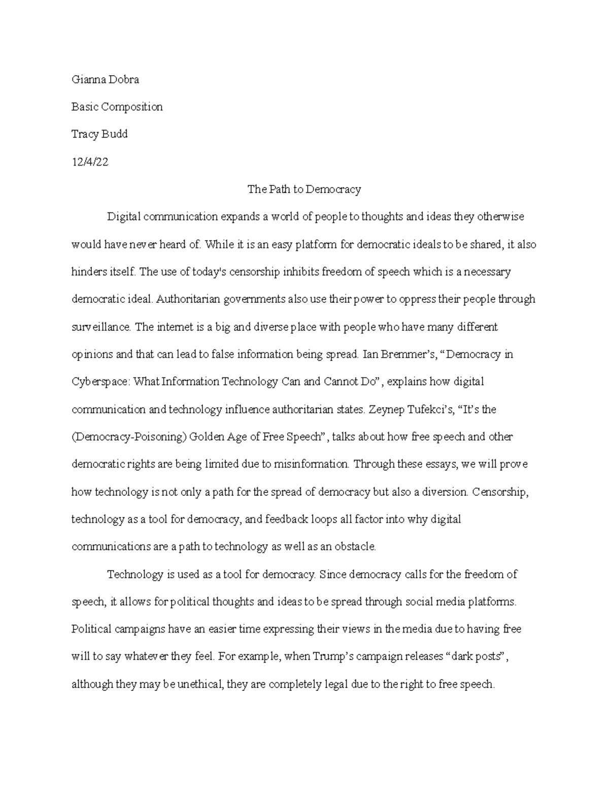 Path to Democracy - Gianna Dobra Basic Composition Tracy Budd 12/4/ The ...