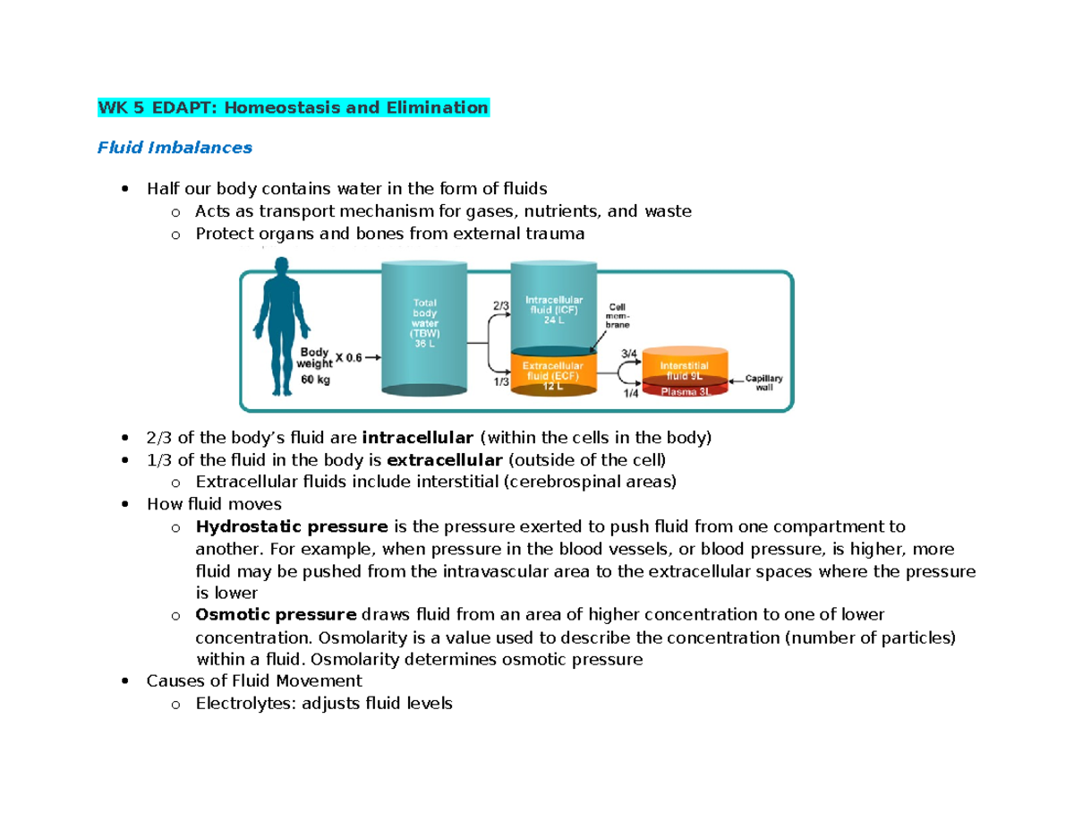 Patho WK 5 Edapt - WK 5 EDAPT: Homeostasis and Elimination Fluid ...